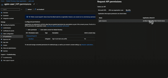 Protecting Your APIs in Azure API Management using OAuth - A Step-by ... Protecting Your APIs in Azure API Management using OAuth - A Step-by ...